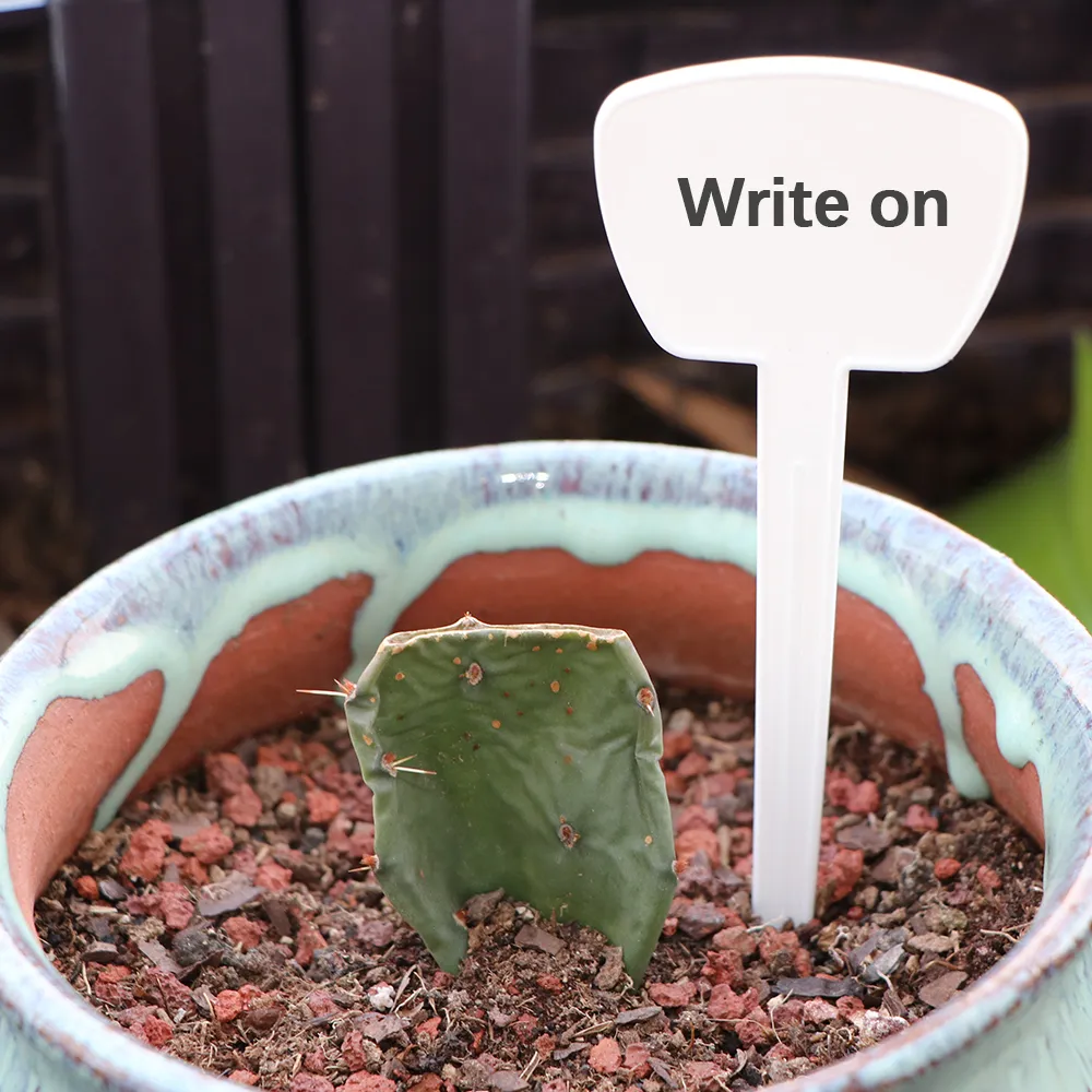 DHgate.com:Eco-Friendly Plant Labels, Durable Garden Pot Markers ...