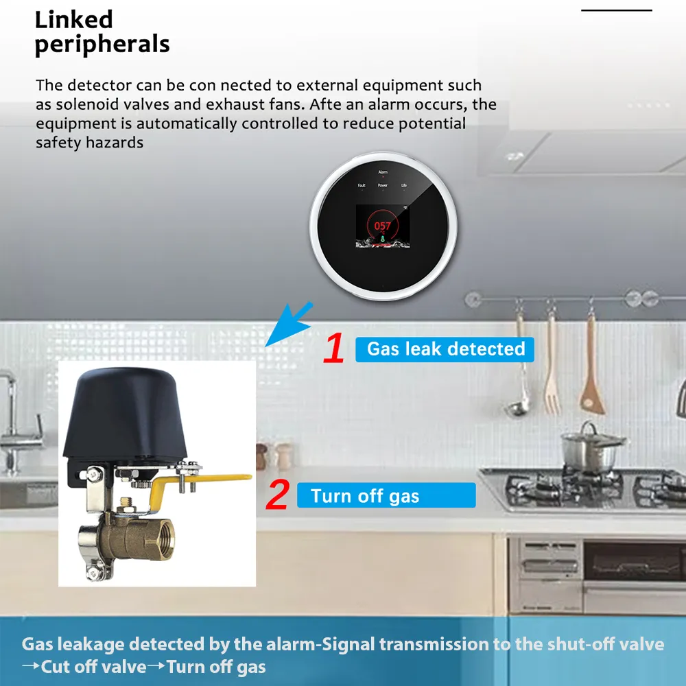 WiFi Gas Leak DetectorSmart Home Propane Natural Gas Detector Alarm ...