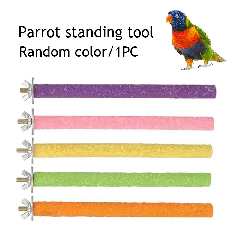Colorful Bird Toys: Chew, Grind & Play! Cage Perches & Stands. Petsmart ...