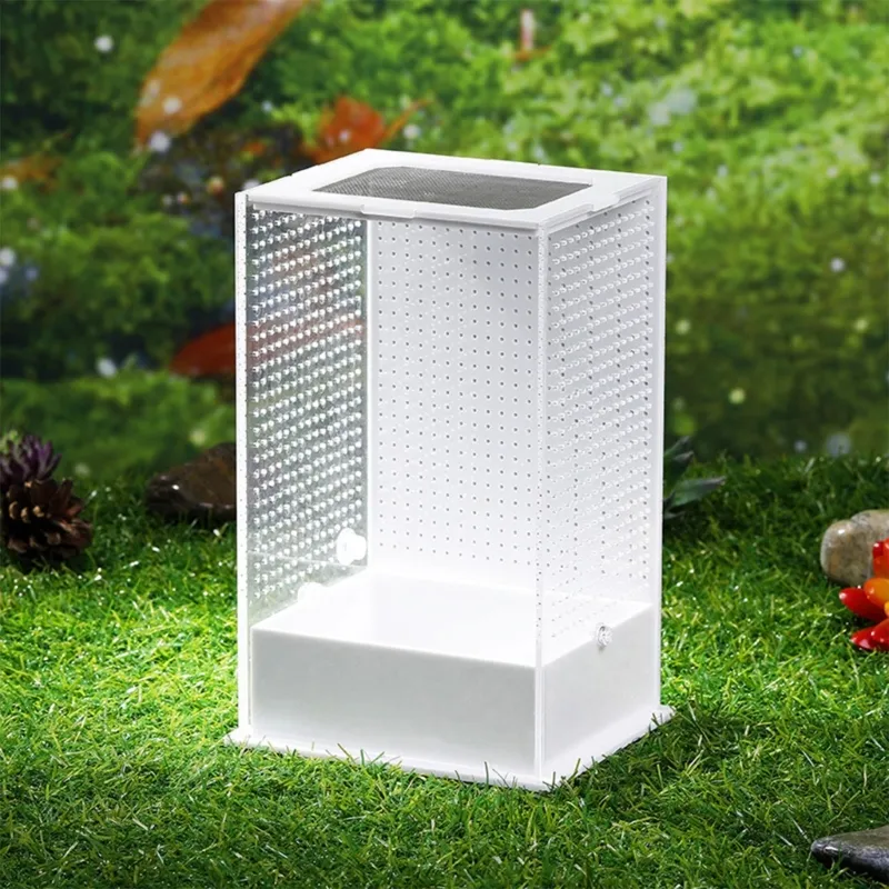 Clear Acrylic Mini Insect Tanks For Lizards Hermit Crabs Geckos Frogs ...