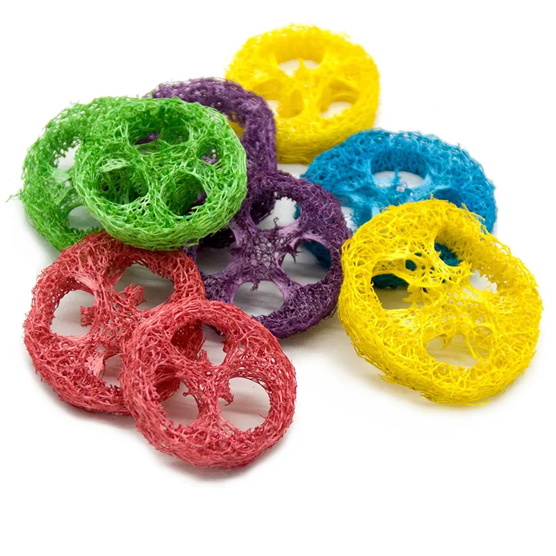 Natural Loofah Slices - Teeth Grinding Chew Toys for Rabbits, Hamsters ...