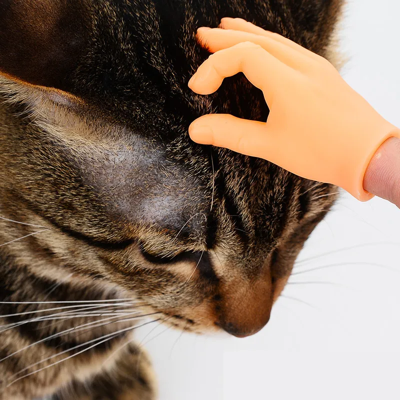 Fake Hand Finger Puppets for Cats: Funny Little Finger Toys ...
