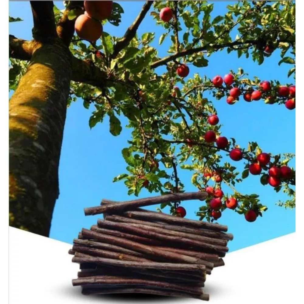 Small Squirrel Toys: 100g Teeth Grinding Apple Tree Stick Biting Tree ...