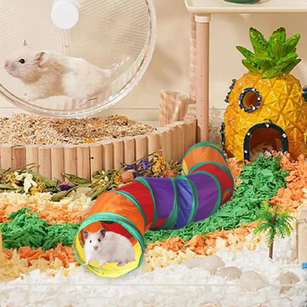Best hamster toys store