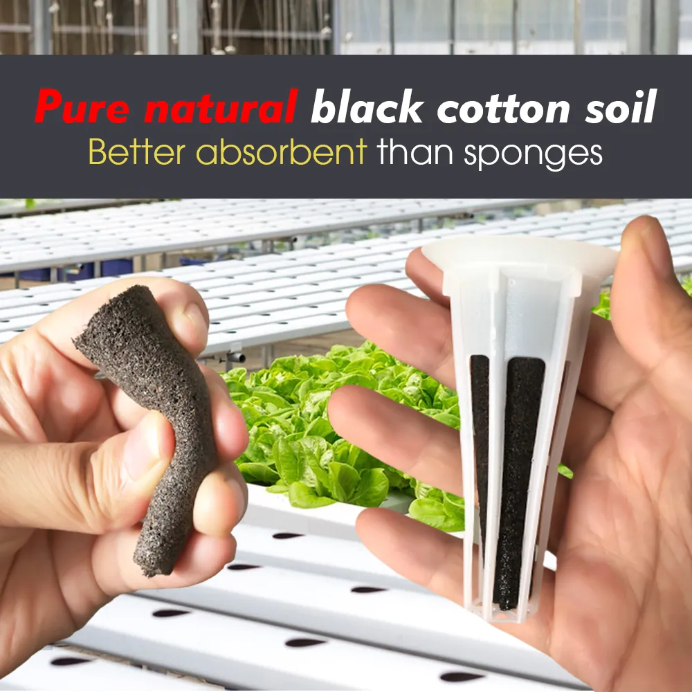 Hydroponics Seed Grow Sponges: 6x2cm Seedling Starter Plugs for ...