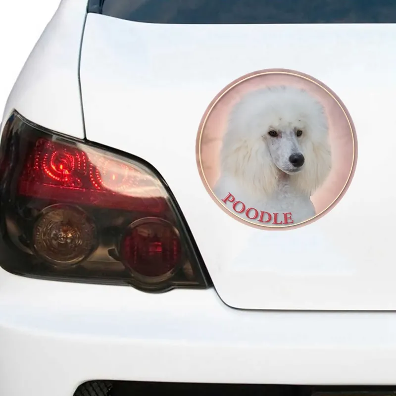 S40339# Various Sizes PVC Decal Poodle Dog Car... From Ddmyaug, $10.84 ...