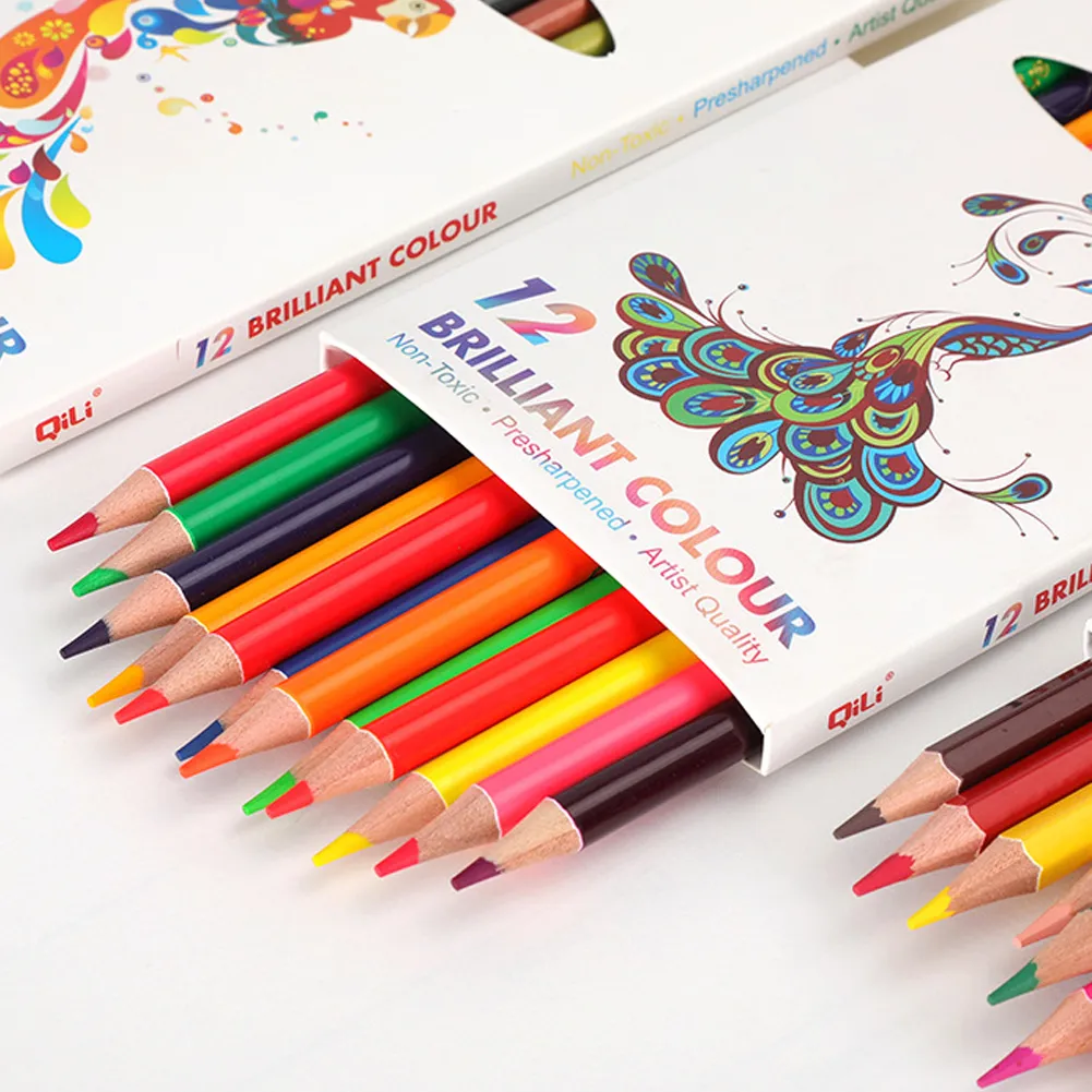 12-Piece Metallic Colored Pencils Set for Artists, Students ...