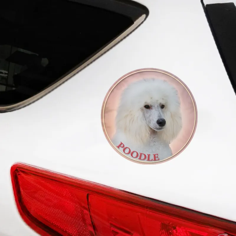 Poodle Dog Car Sticker Waterproof PVC Decal For Bumper, Rear Window ...