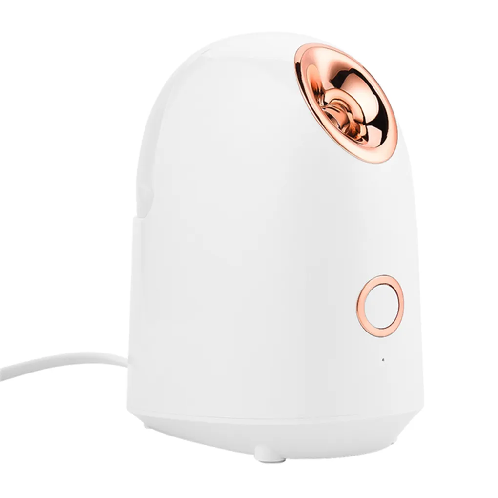 DHgate.com:NEW 2024 Portable Nano Ionic Facial Steamer, Handheld Face ...