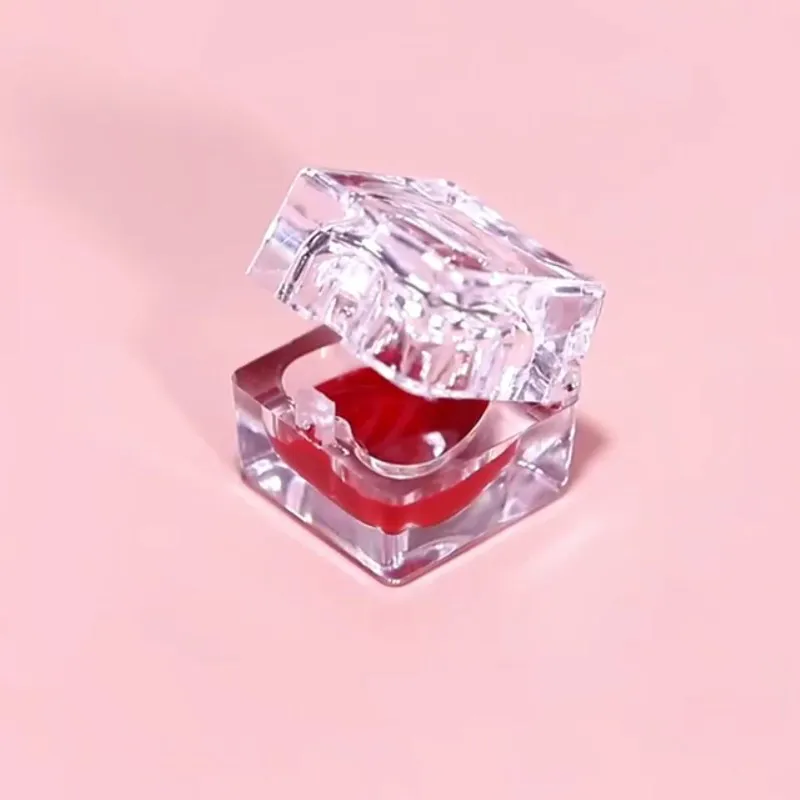 Mini Portable Lipstick Containers | Transparent Square Cosmetic Lip ...