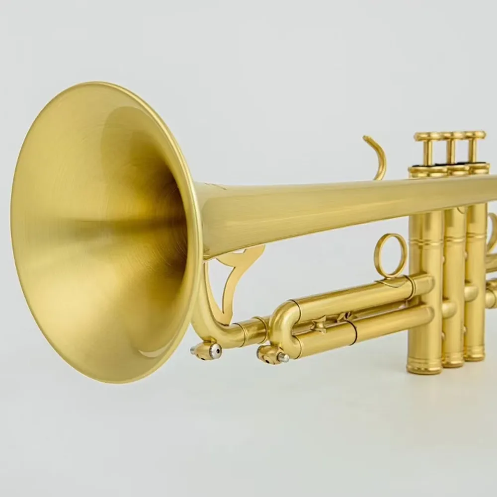 JBTR 450 Bb Trumpet Yellow Brass Body, Stainless... From ...
