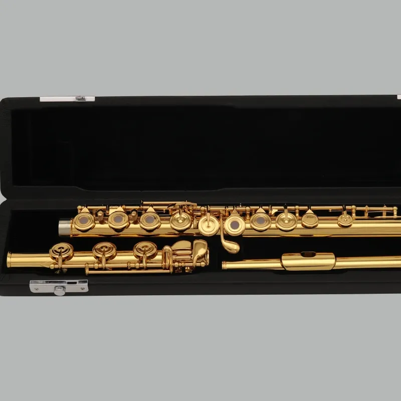 DHgate.com:High Quality Rose Gold Plated Open Hole B Foot Flute with 17 ...