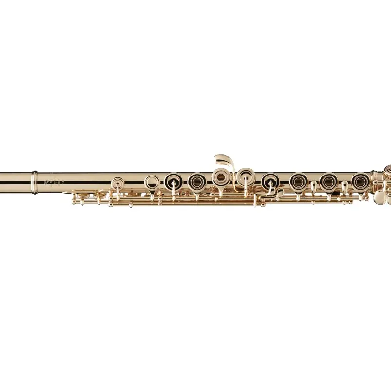 Professional Silver Plated Flute - 17 Key C Flute with Case, Cleaning ...