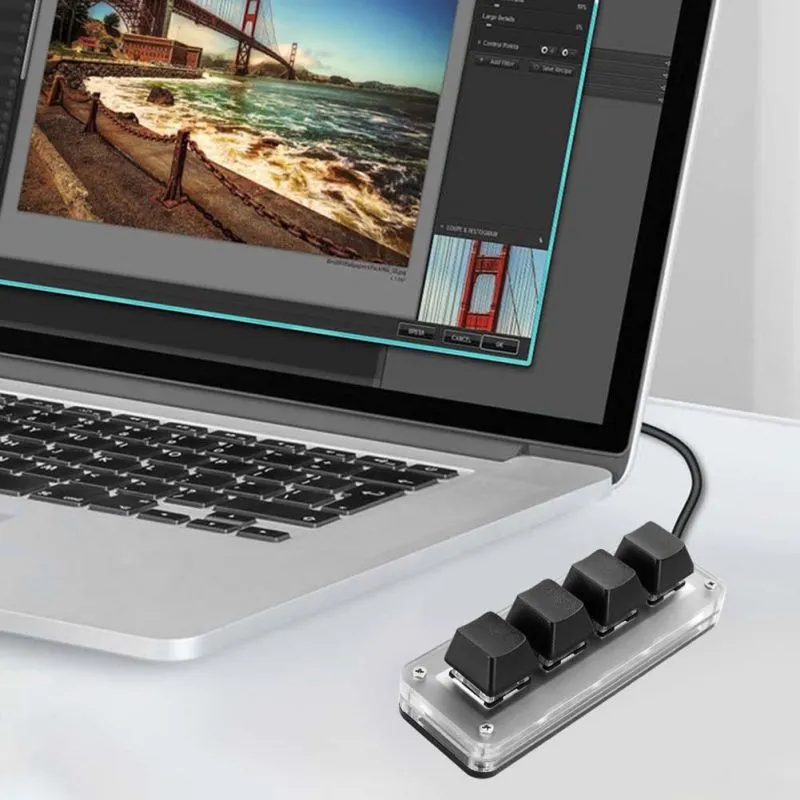 Programmable Macro Keyboard Knob USB RGB 3 Key 1 Knob Mini Gaming Keypad, Copy Paste, Mechanical ...