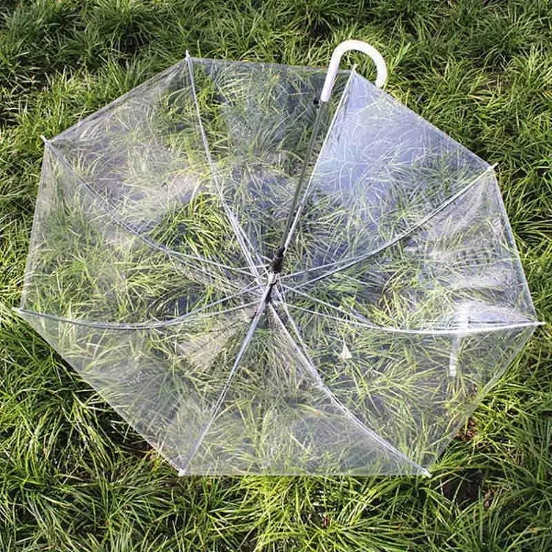 Clear Umbrellas: Transparent PVC Dome Bubble Rain Umbrella, Sunlight ...