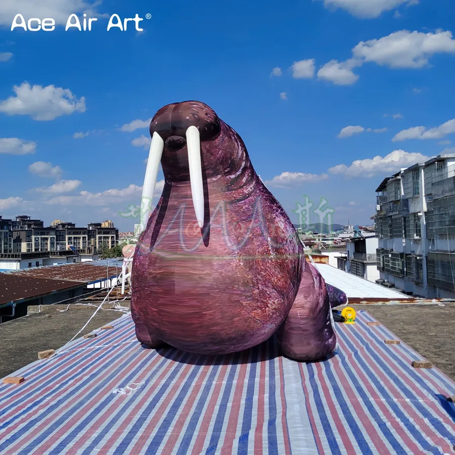 Inflatable Sea Animal Balloons: 5mL Inflatable Walrus, Portable Outdoor ...