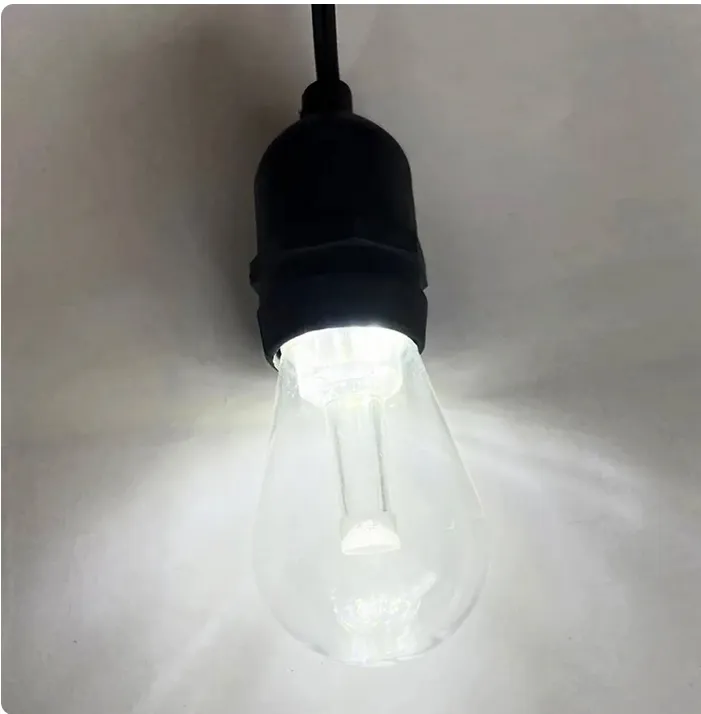 Retro Edison Light Bulb E27: Vintage Style ST45 Filament Bulb, 1W Warm ...