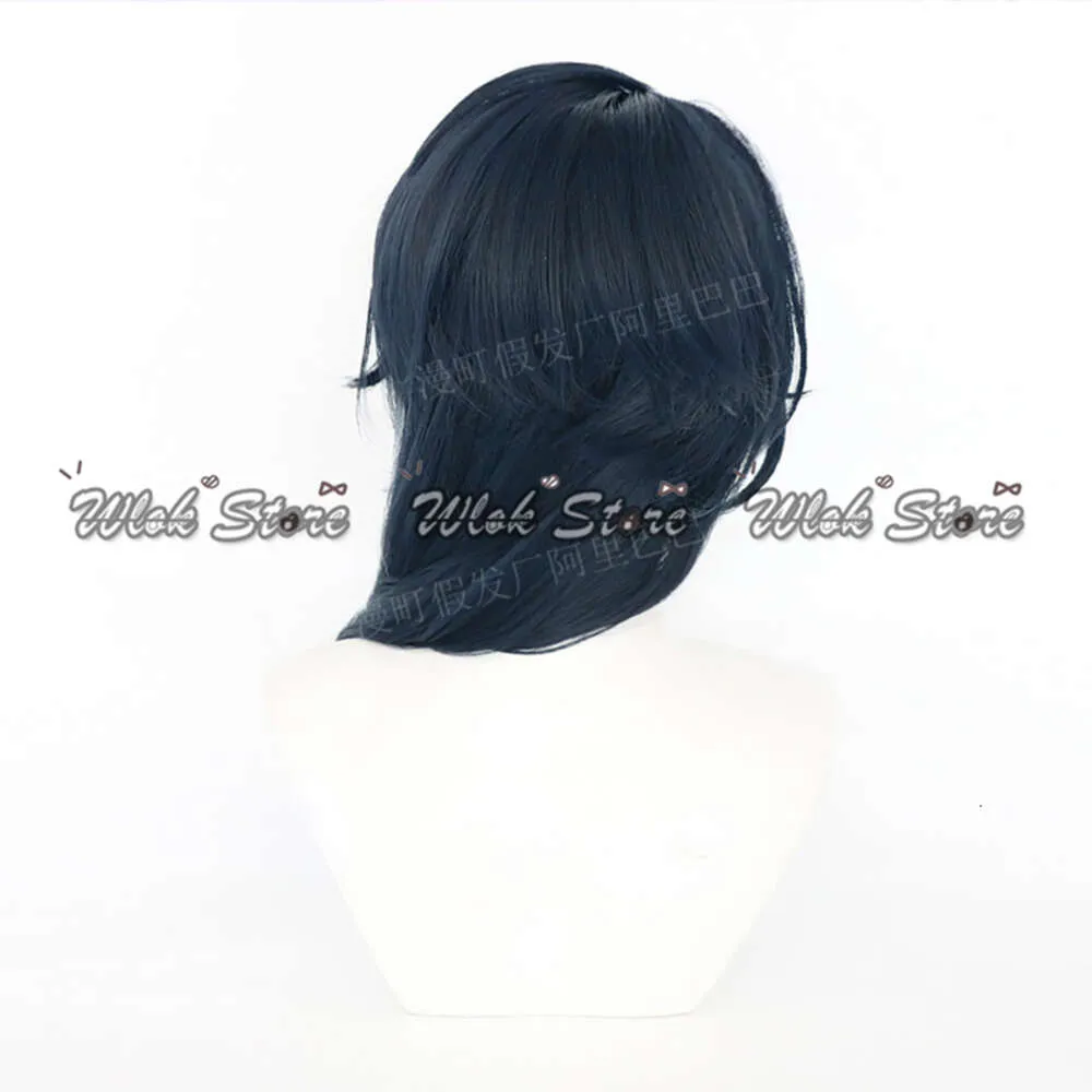 Cosplay Genshin Impact Regrator Cosplay Wig Glasses Rings Pantalone ...