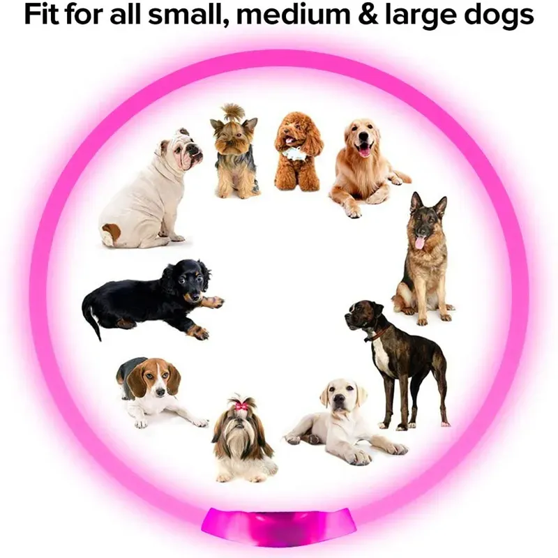 DHgate.com:LED Dog Collar, Detachable Glowing Charging Luminous Leash ...
