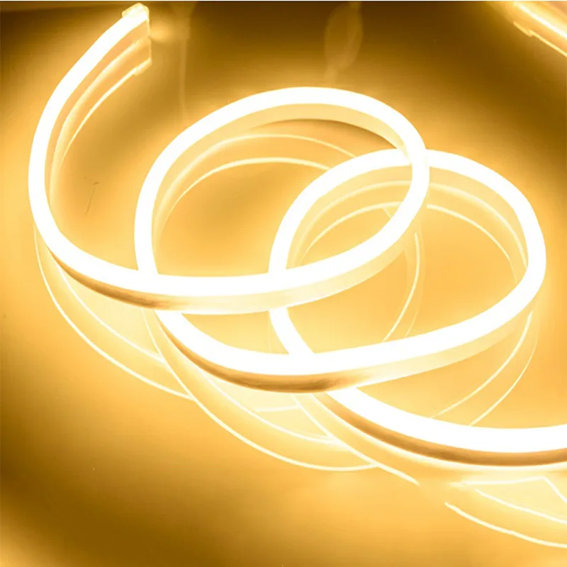 Neon LED Strip Lights, 120 LEDs/M, Waterproof Flexible Ribbon Tape For ...