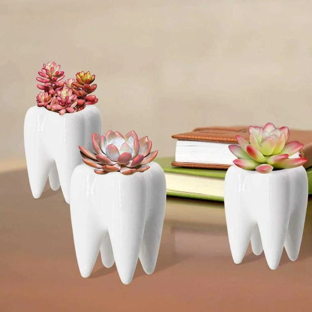 DHgate.com:Unique Tooth-Shaped Ceramic Flower Pot, 1 Piece Succulent ...