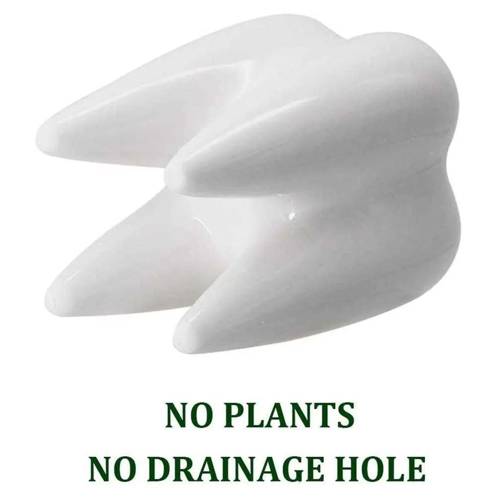 DHgate.com:Unique Tooth-Shaped Ceramic Flower Pot, 1 Piece Succulent ...