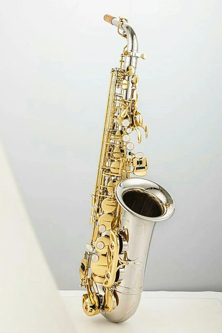 Professional Alto Saxophone - Silver Plated WO37 Sax, Gold Keys ...