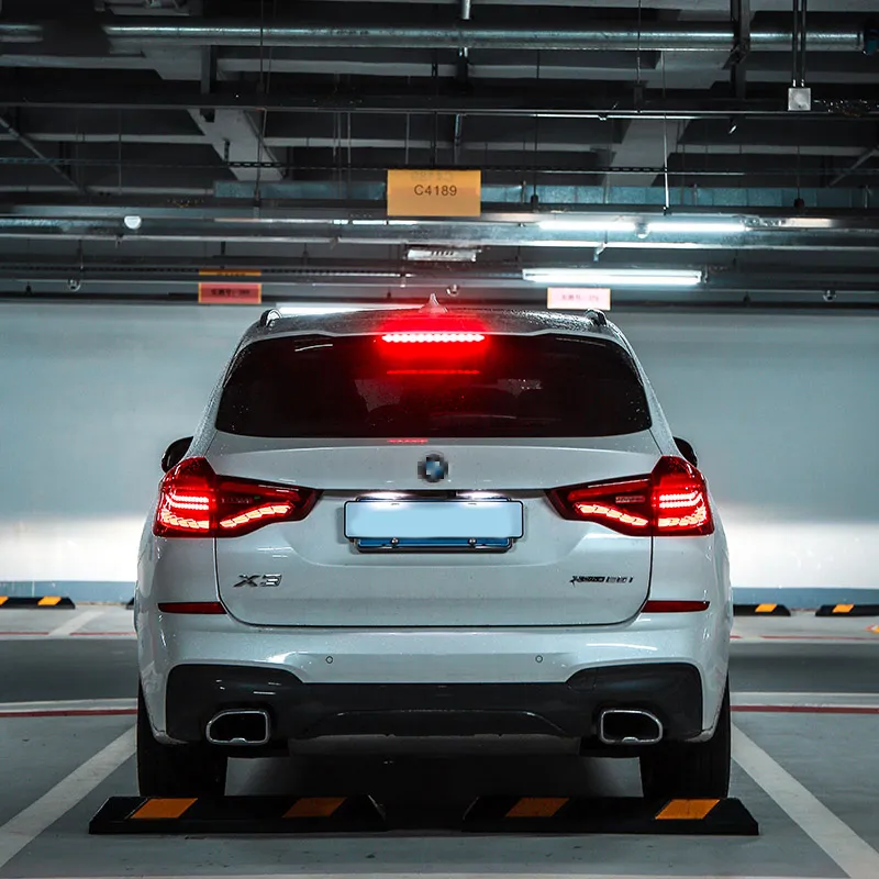 Dragon Scale LED Dynamic Rear Daytime Running Lights For BMW X3 G08 And ...