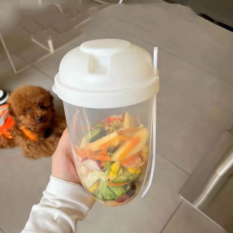 Reusable Plastic Salad Container With Lid And Fork, Eco Friendly Bottle ...