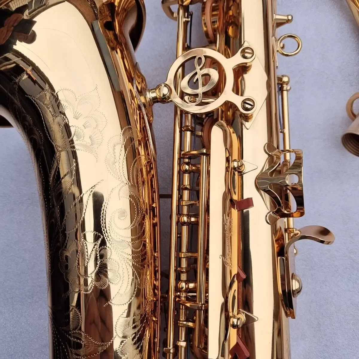 Professional E-flat Alto Saxophone - Brass Body, Gold Lacquer Finish ...