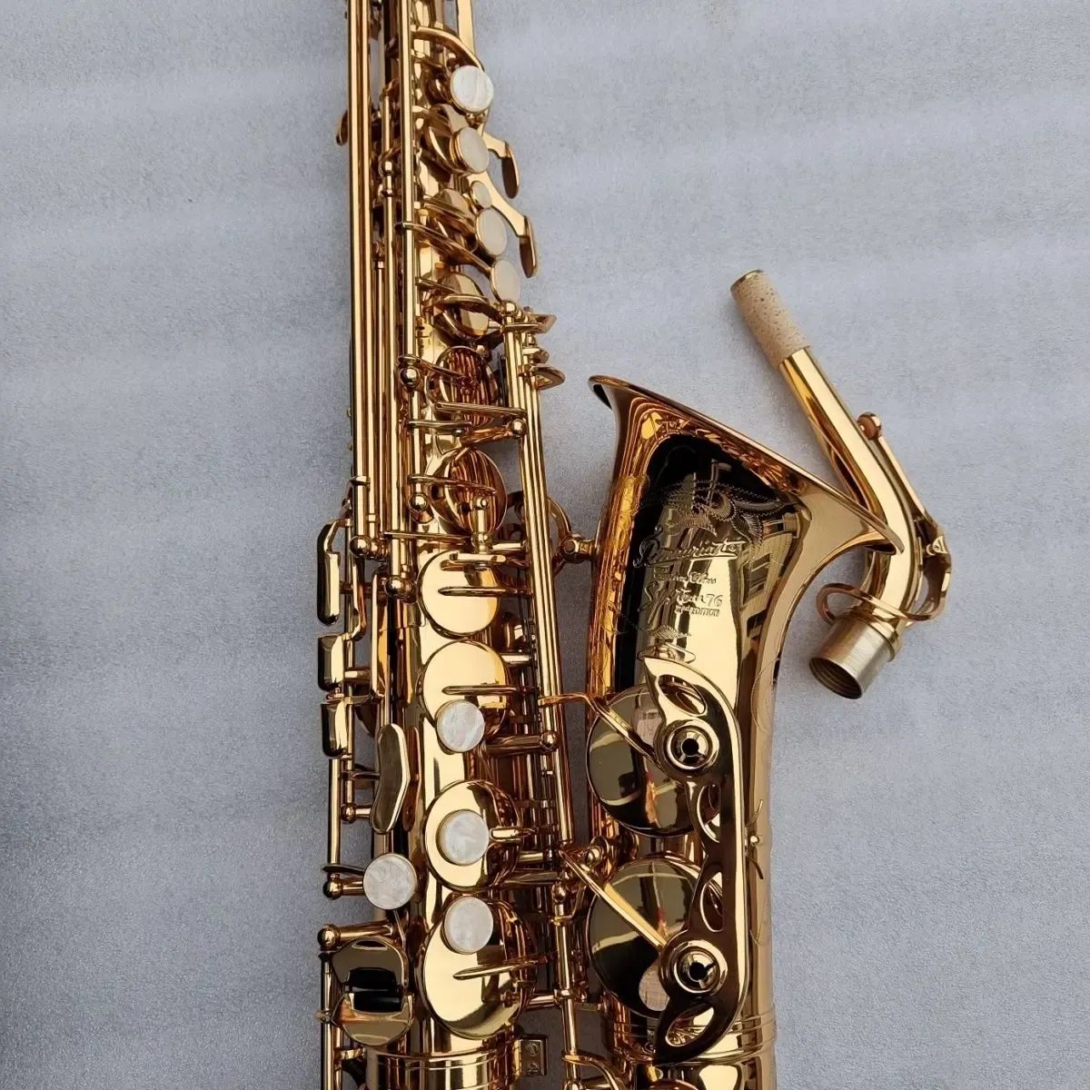 Professional E-flat Alto Saxophone - Brass Body, Gold Lacquer Finish ...