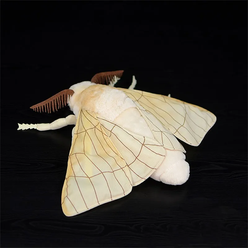 cute silkworm moth