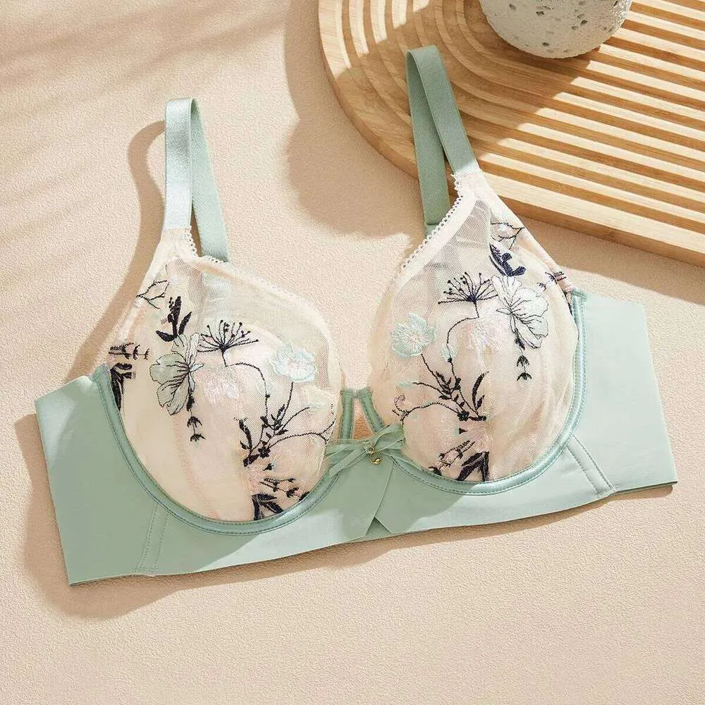 Sexy Embroidered Plus Size Bra for Women, 3/4 Cup, Lace Cups, Plunging ...